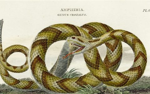 Past Exhibits | Park City Museum | Park City Museum